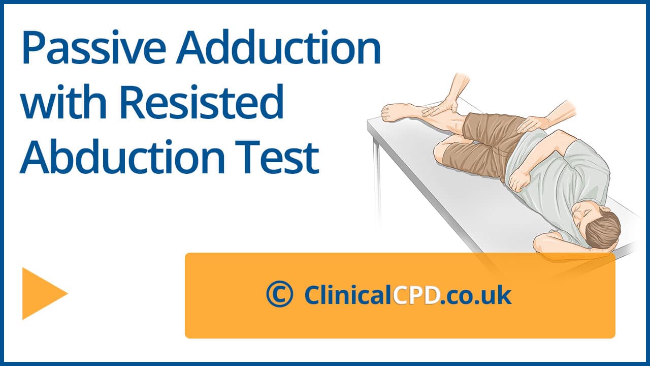 Straight Leg Raise Adduction