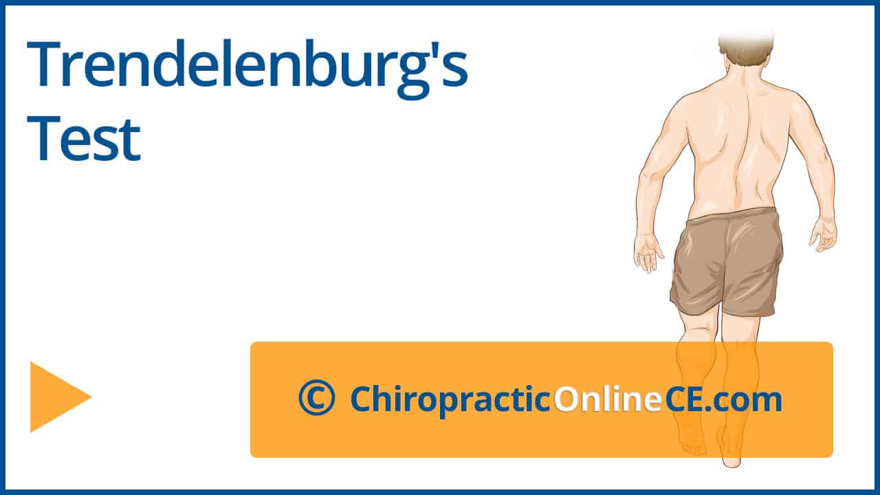 Trendelenburg Test Video Trendelenburg's Test Chiropractic Online